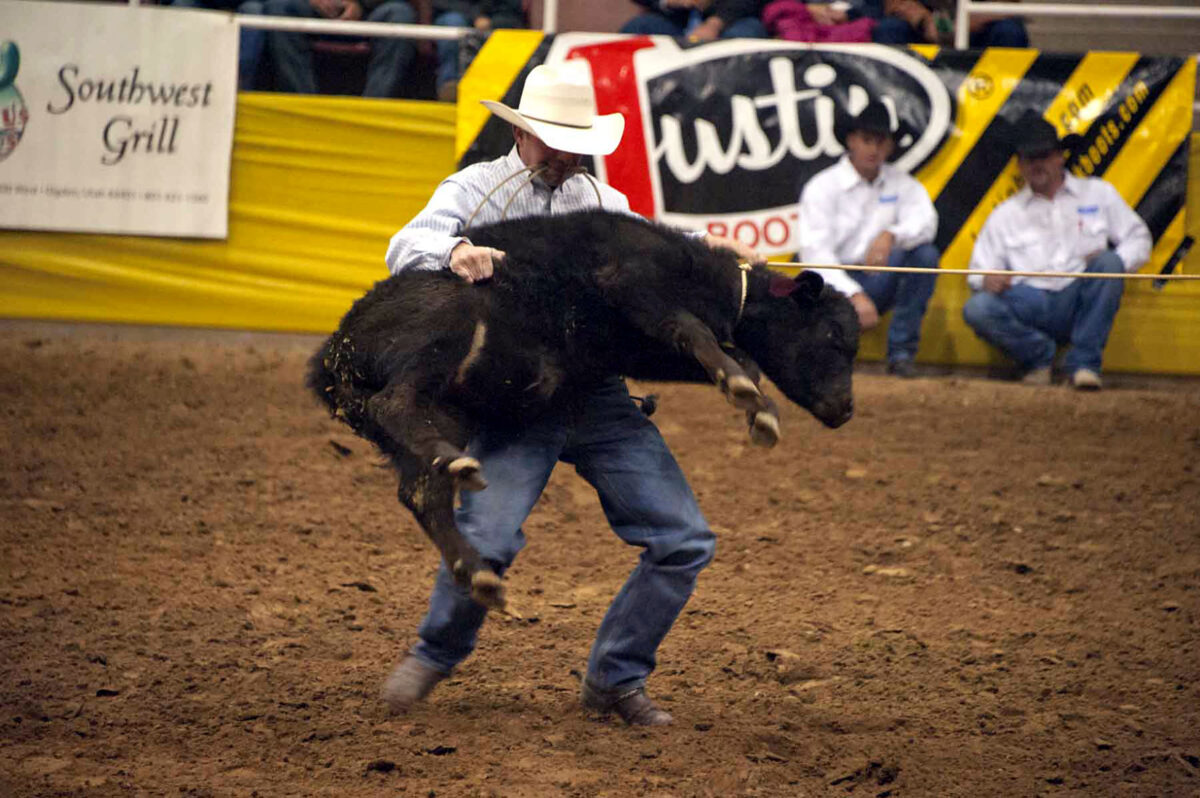 Rodeo cowboy a thrilling but dangerous, expensive career | News, Sports ...